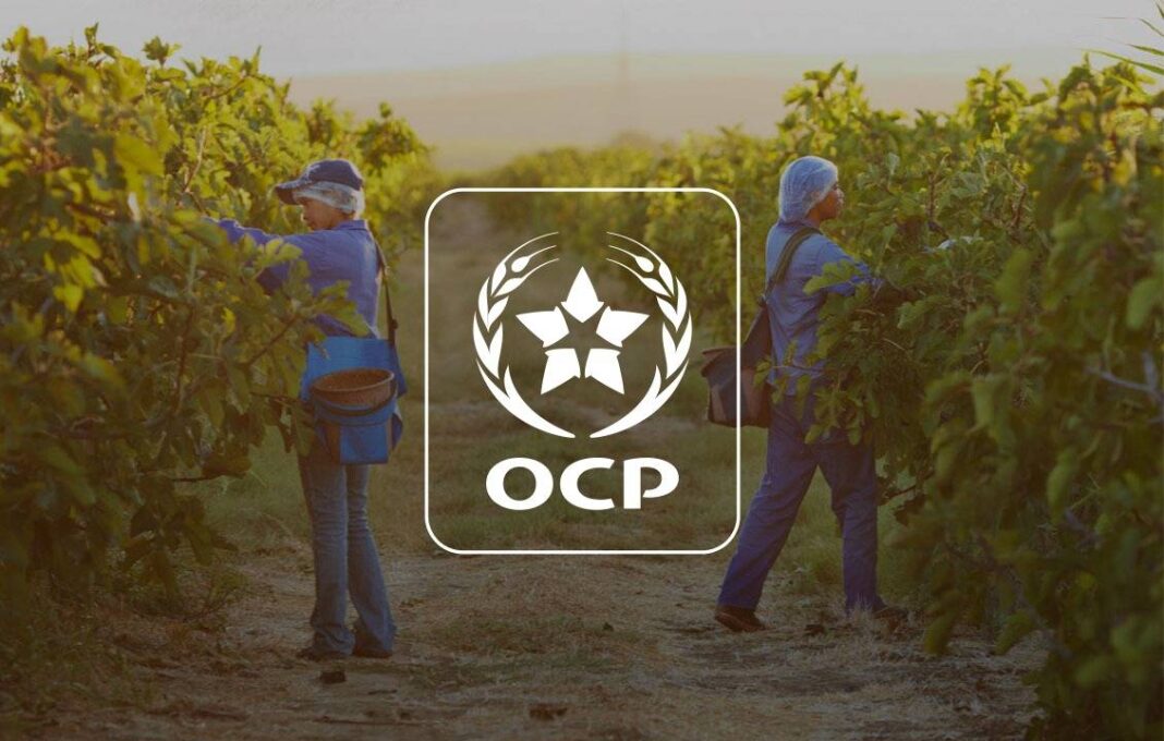 OCP publie des résultats solides à mi-2025, boostés par la demande ...